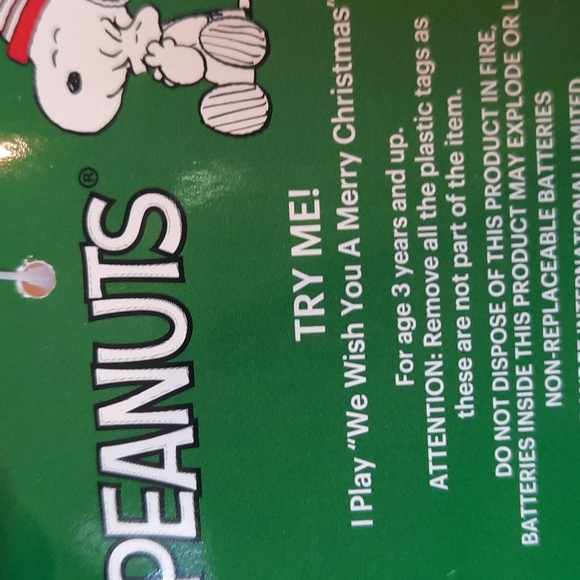 Holiday | New Singing Charlie Brown Plush Toy Peanuts | Poshmark